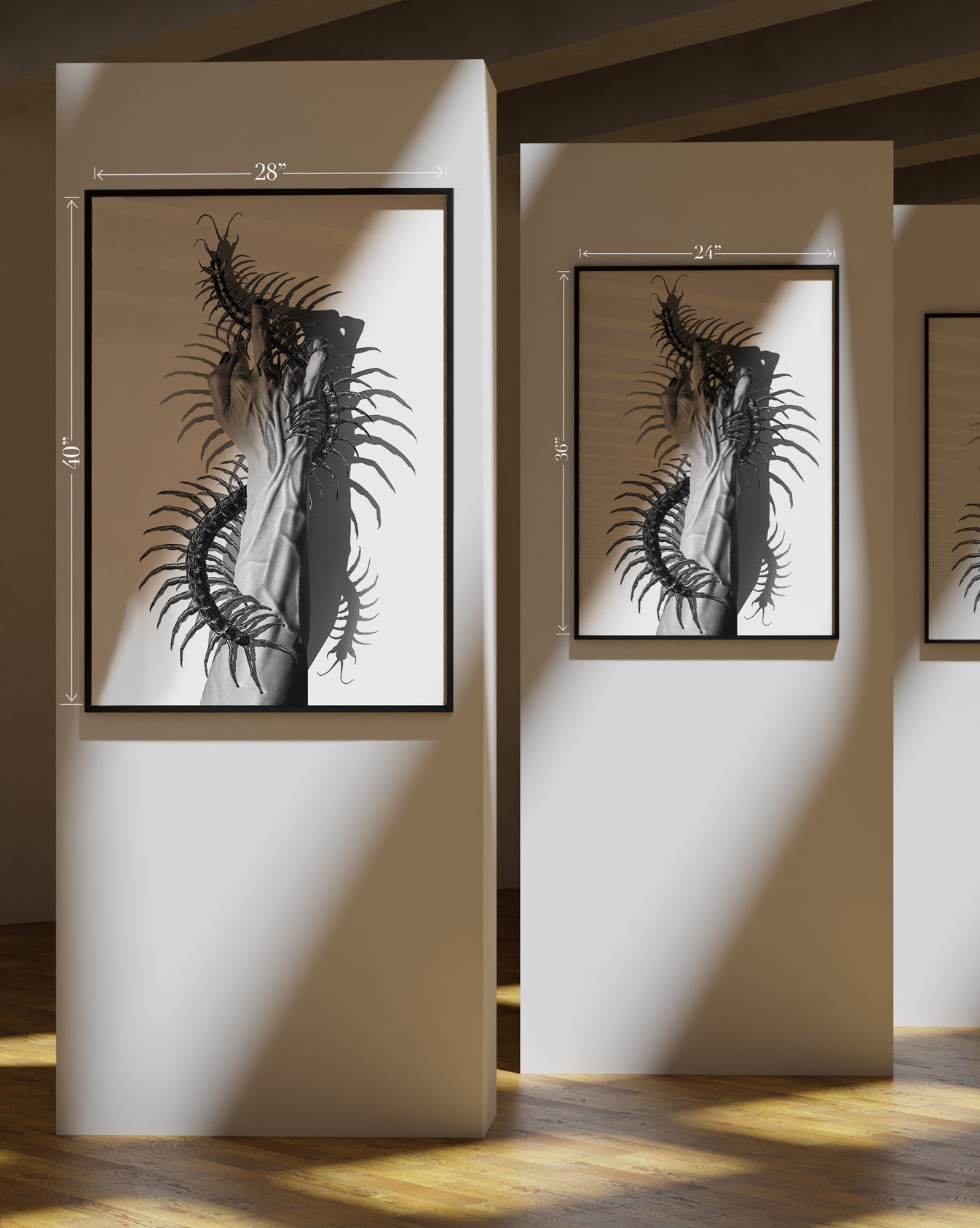 Crawling Curse – Sonny Ray